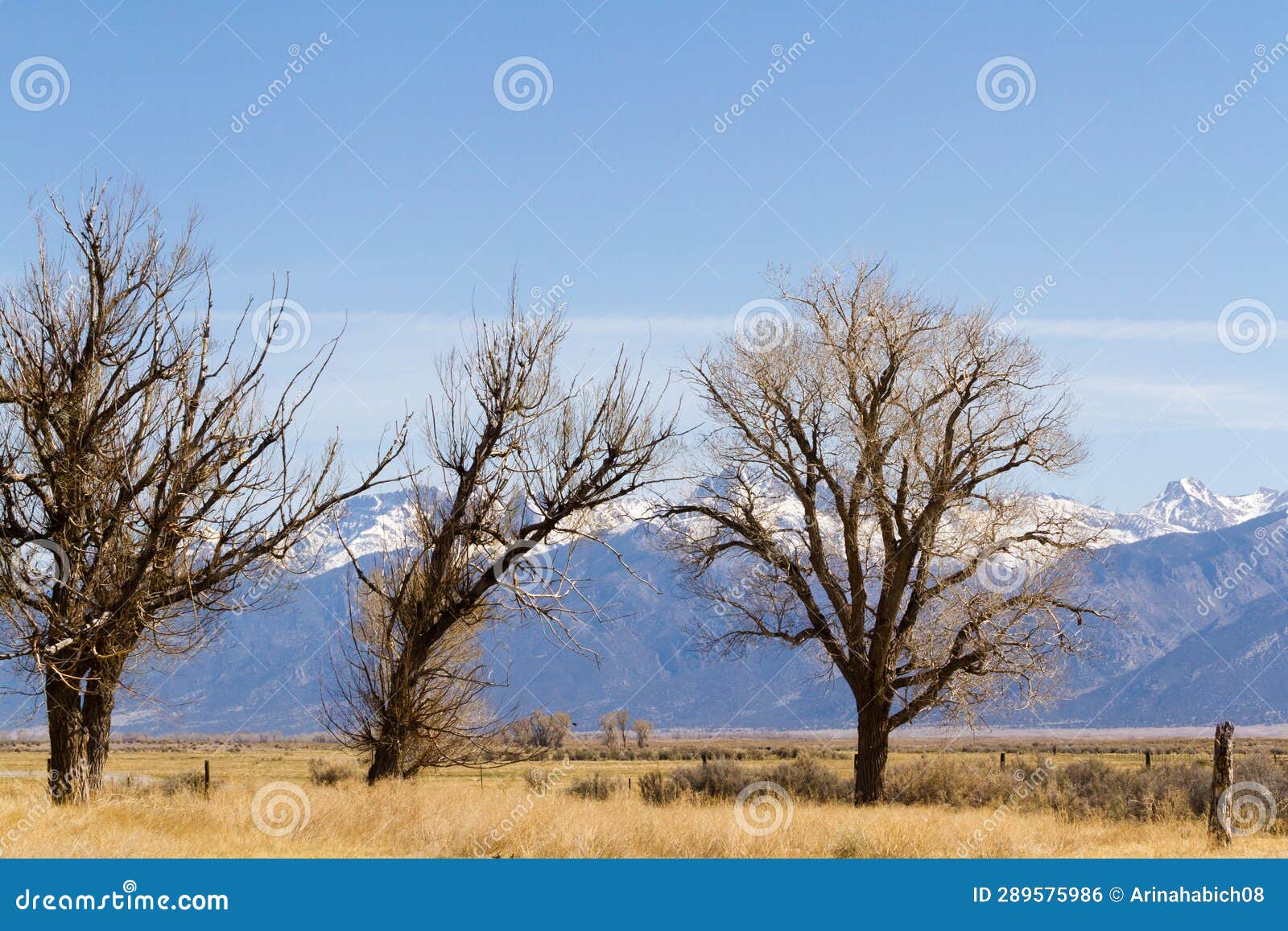 Midwest farm stock photo. Image of spring, snow, tree - 289575986
