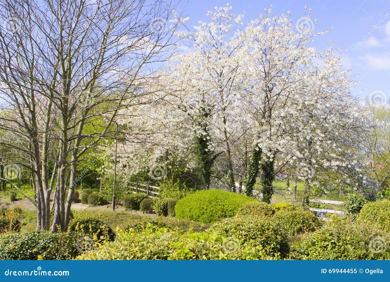Spring in Milton Keynes, England Stock Image - Image of march, blue ...