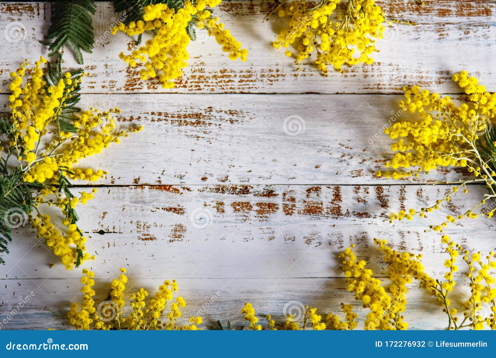 Spring Mimosa Flowers, Close Up of Bouquet Stock Photo - Image of ...