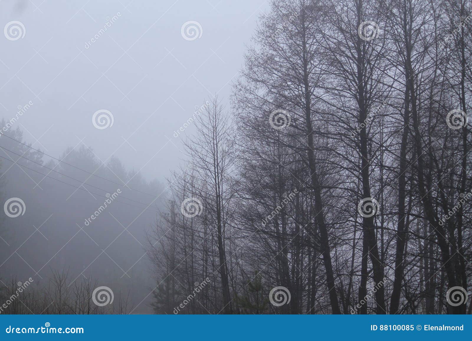 Spring mist stock image. Image of hoar, grove, hill, belarus - 88100085