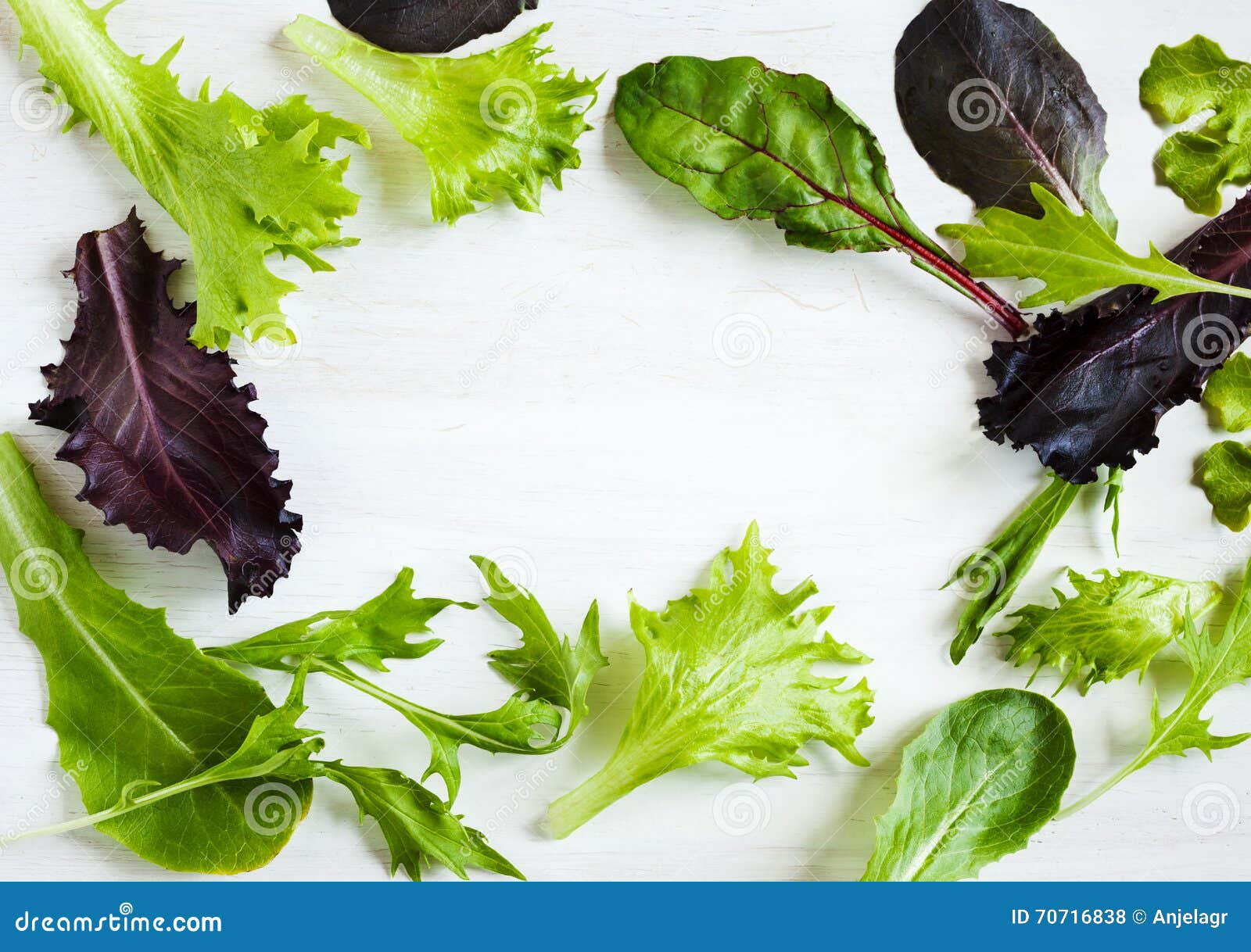 Aragula Frame Stock Photos - Free & Royalty-Free Stock Photos from ...