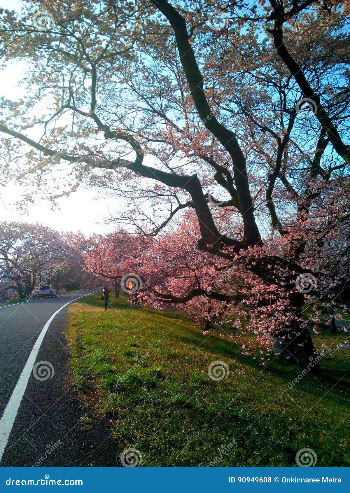 Spring stock photo. Image of spring, moments, nature - 90949608