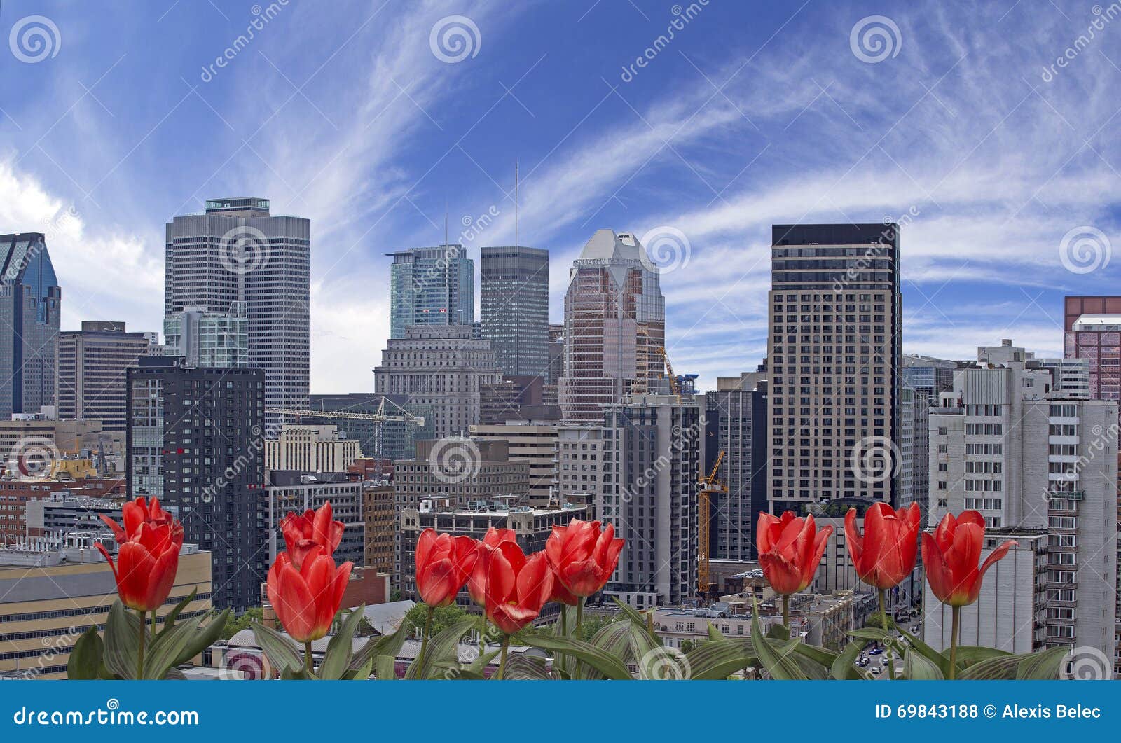 Spring in Montreal stock photo. Image of mont, landscape - 69843188