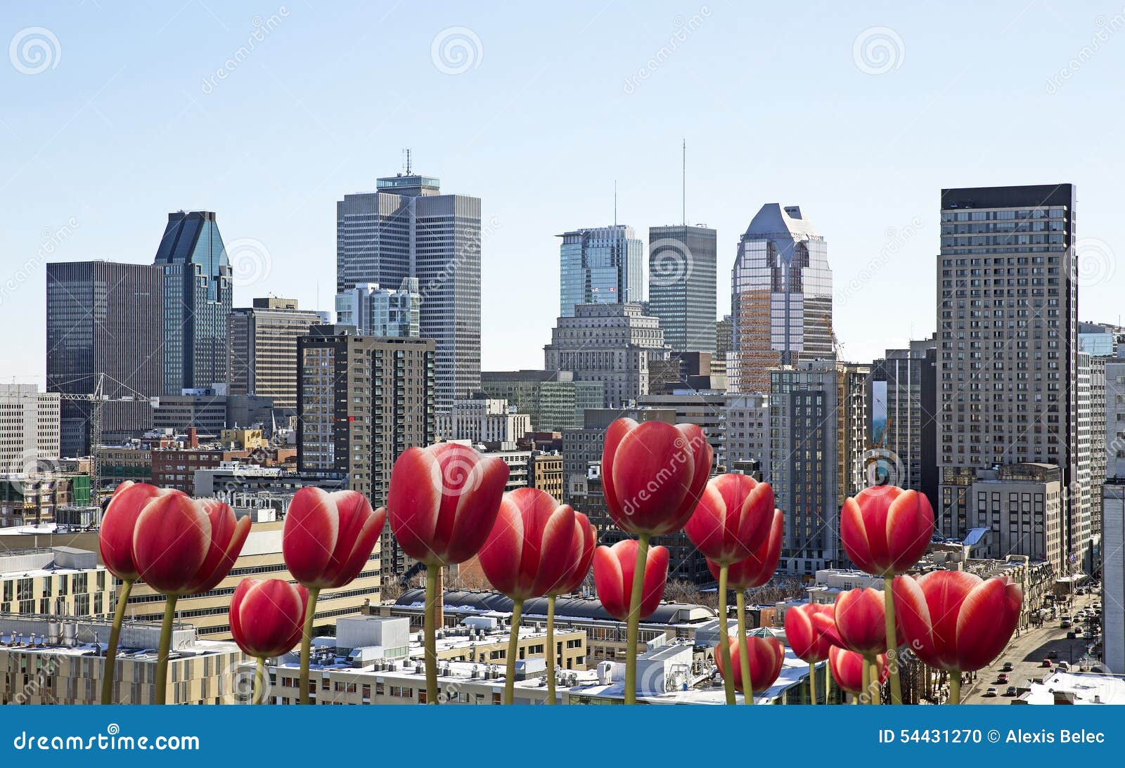 Spring in Montreal stock photo. Image of panoramic, scene - 54431270