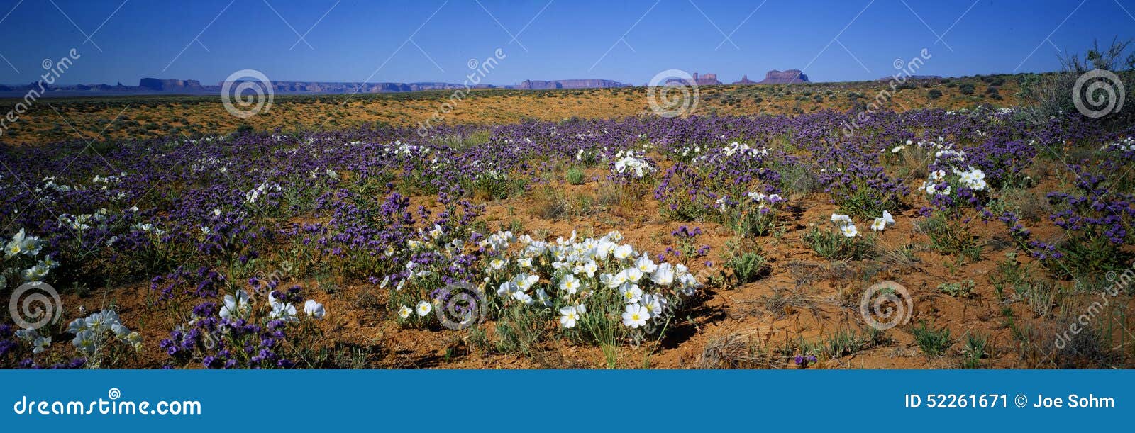 Spring, Monument Valley, Arizona Stock Image - Image of gorge ...