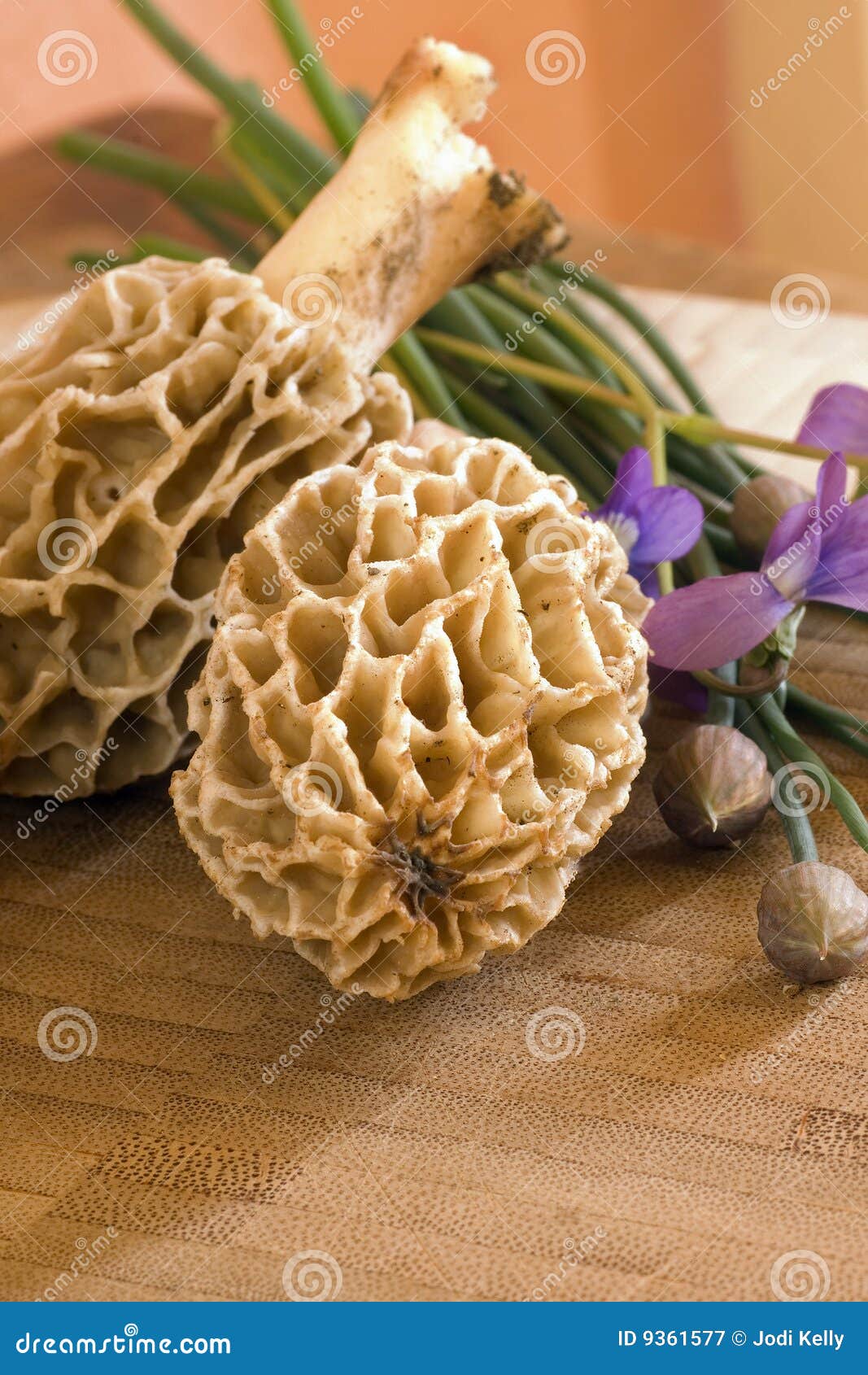 Spring Morels stock image. Image of garnish, gourmet, saute - 9361577