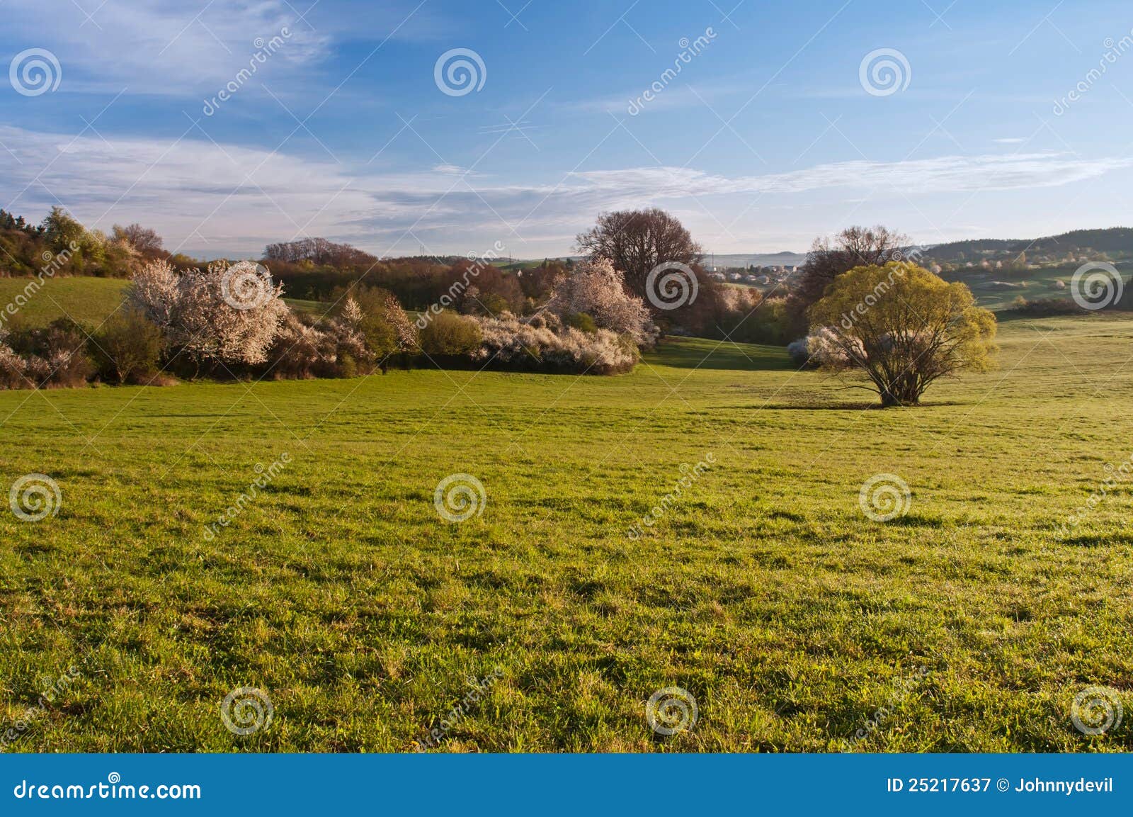 Spring Morning stock image. Image of bohemian, beautiful - 25217637
