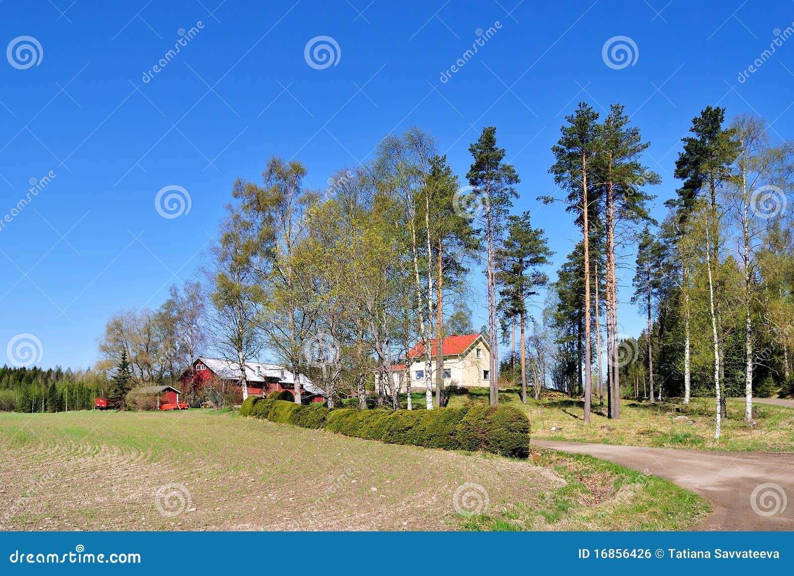 Spring morning in Finland stock photo. Image of neat - 16856426