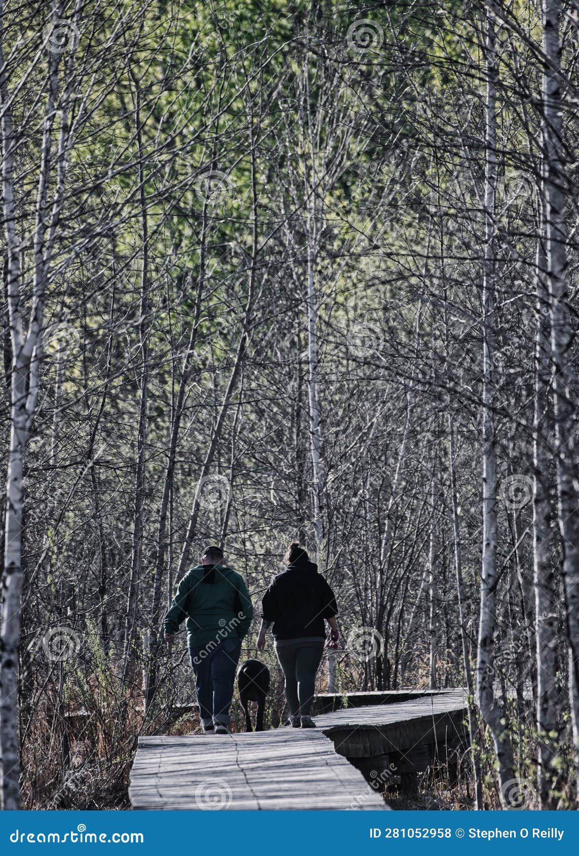 Spring Morning Nature Walk with the Dog Editorial Stock Photo - Image ...