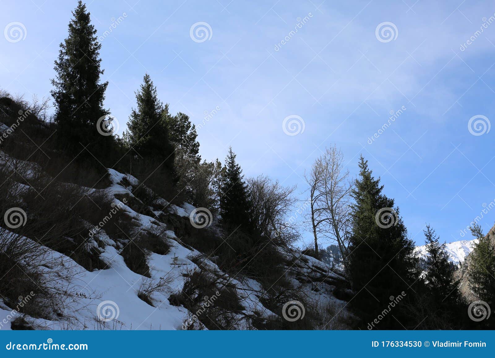 Spring Mornings in the Mountains. Stock Photo - Image of background ...