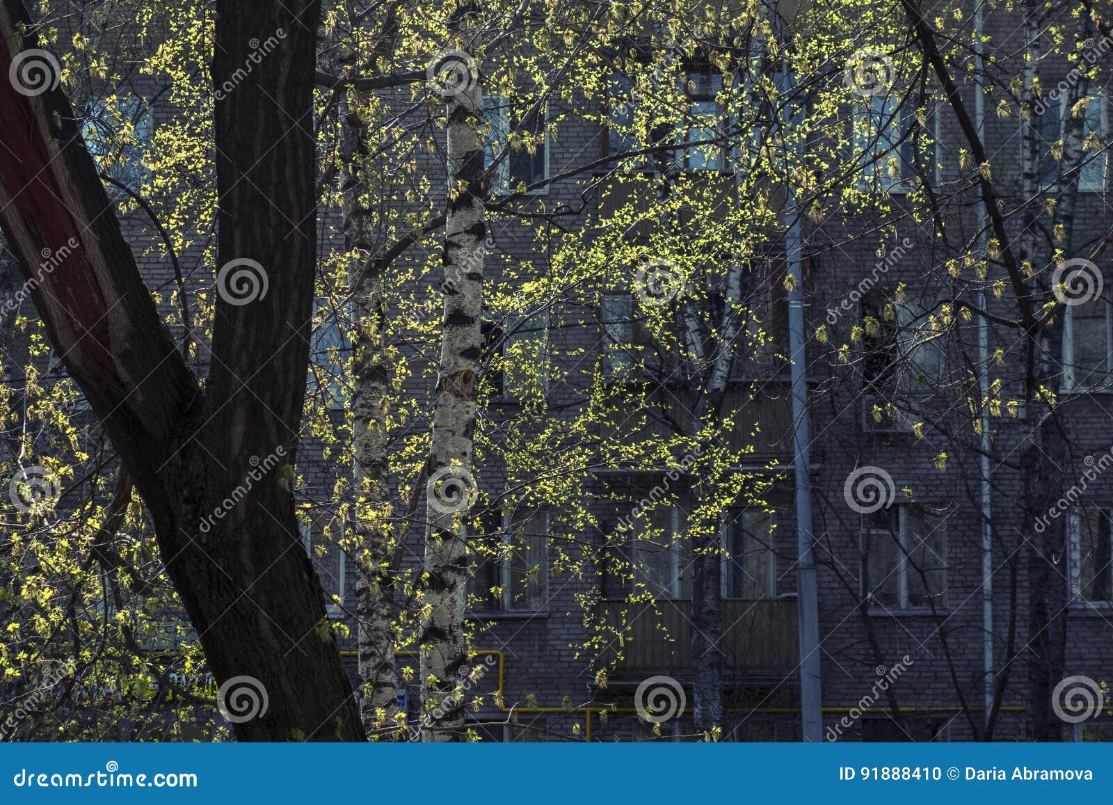 Spring in Moscow, Russia stock photo. Image of landscape - 91888410