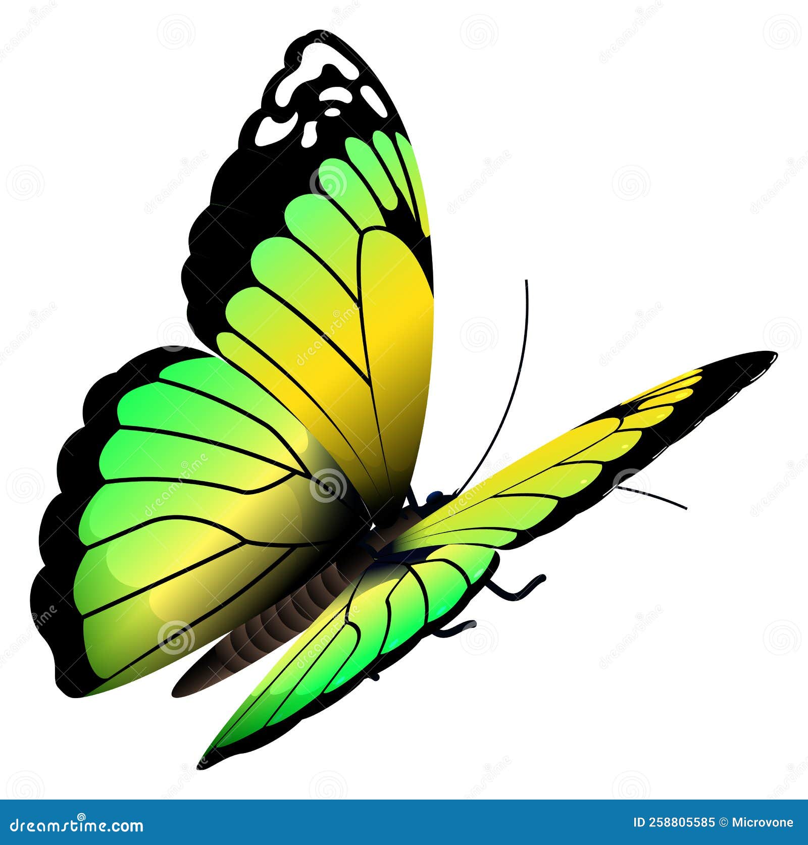 Green Flying Leaves Cartoon Vector | CartoonDealer.com #111535507