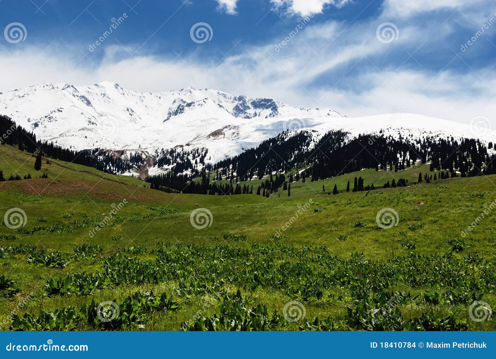 Spring in mountain stock photo. Image of land, alps, blue - 18410784