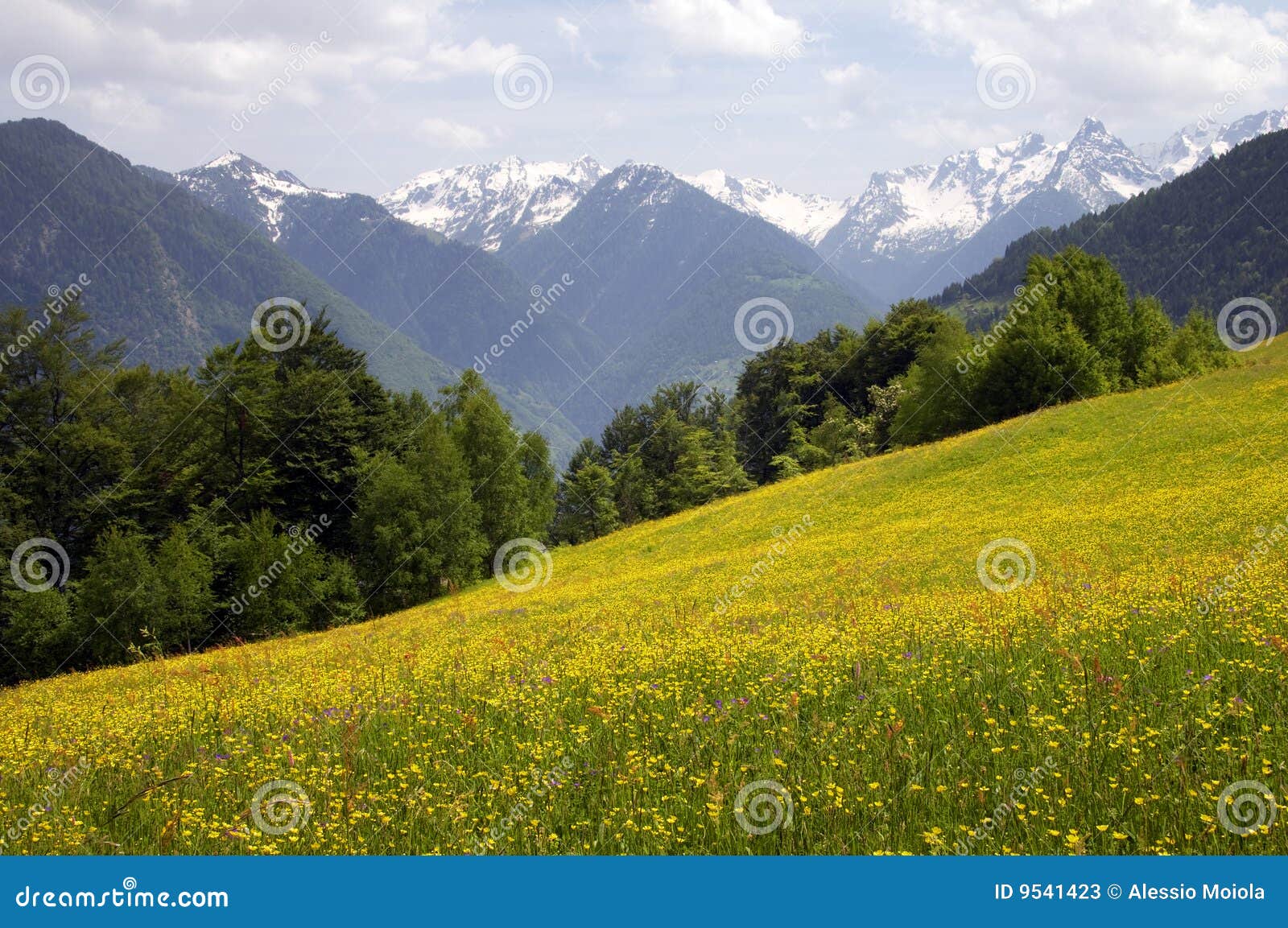 Spring Mountain stock image. Image of lombardia, snow - 9541423