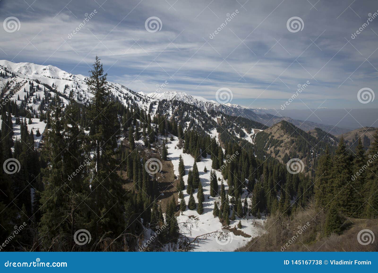 Spring in the Mountain Forest. Stock Photo - Image of landscape, soft ...
