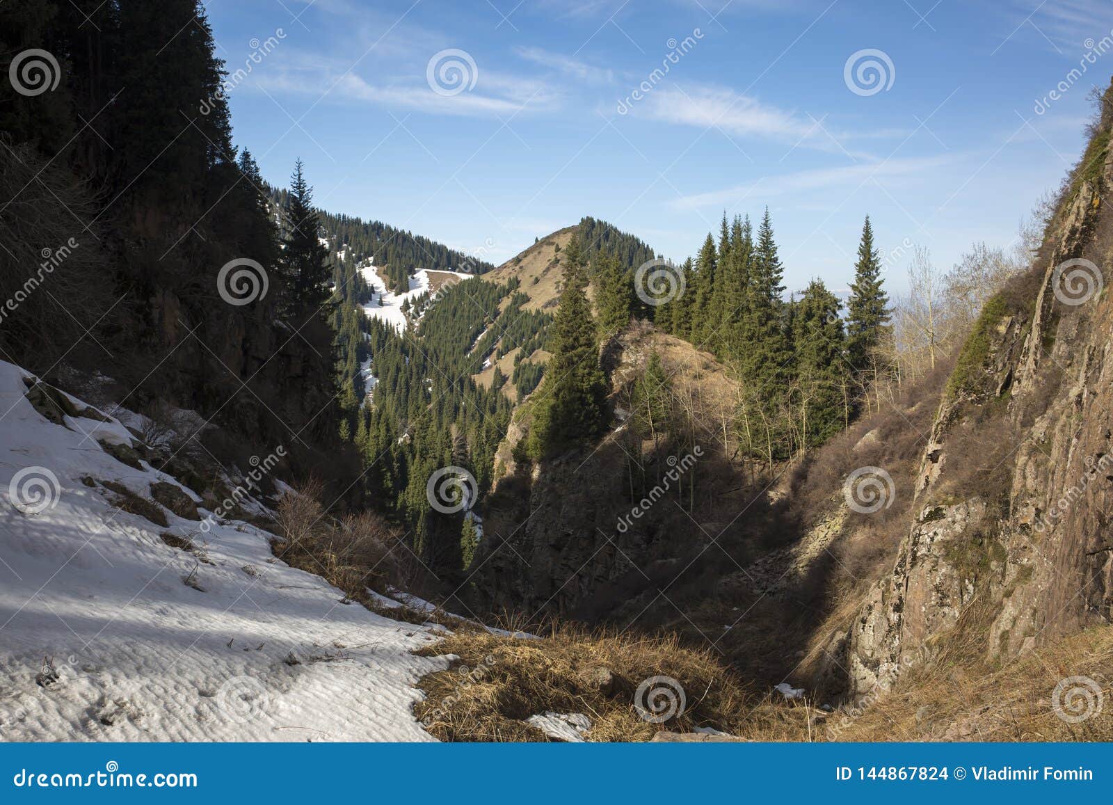 Spring in the Mountain Forest. Stock Photo - Image of light, background ...