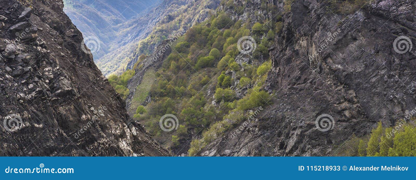 Spring in a mountain gorge stock image. Image of outdoor - 115218933