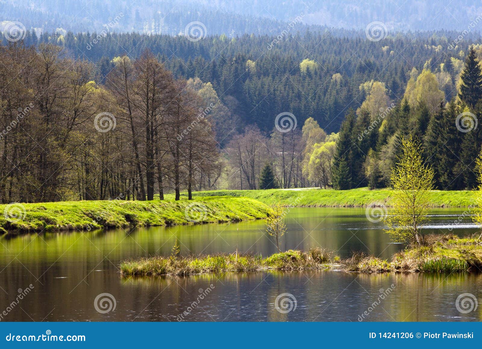 Spring mountain lake stock photo. Image of pond, leaf - 14241206