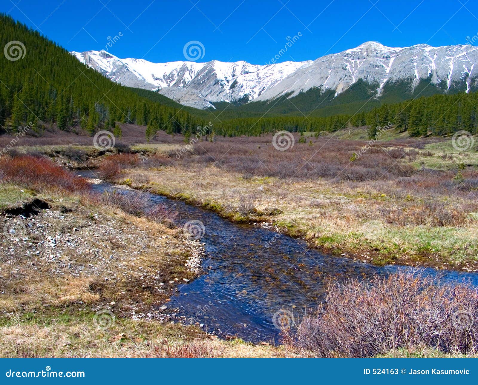 Spring Mountain Landscape stock image. Image of stream - 524163