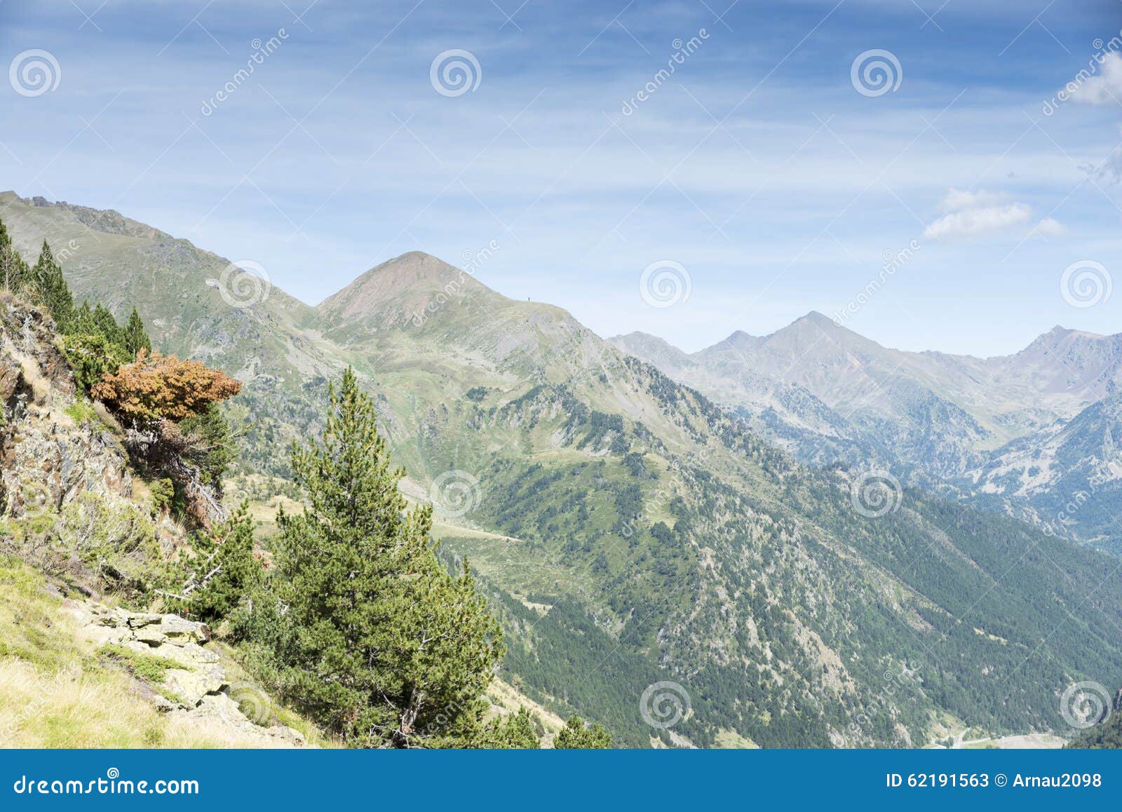 Spring mountain landscape stock image. Image of tree - 62191563