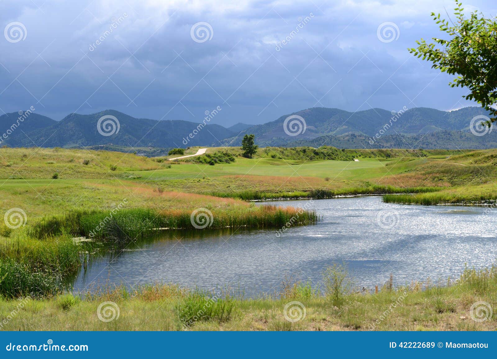 Spring Mountain Pond stock image. Image of colorado, green - 42222689