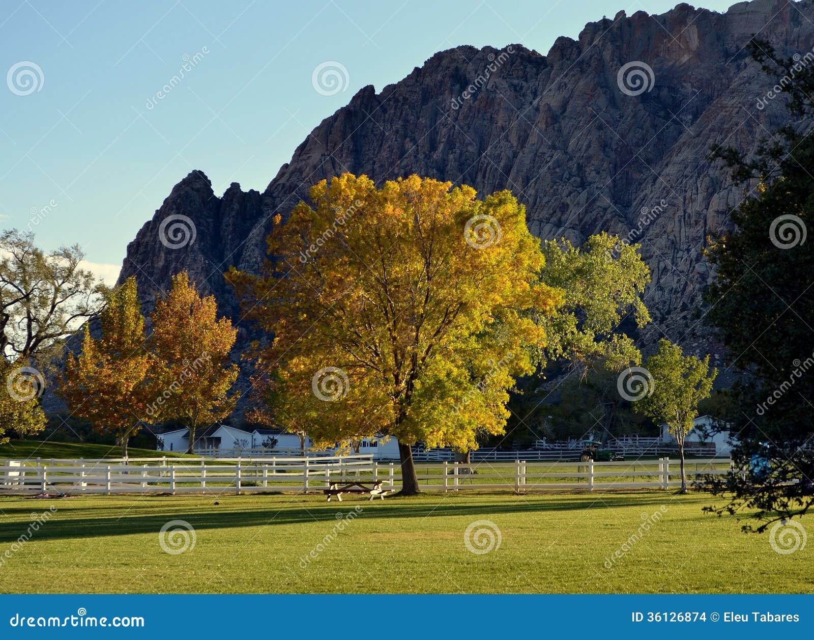 Spring Mountain Ranch State Park Stock Photo - Image of destination ...