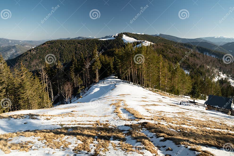 Spring Mountain Range in Carpathian Mountain, Ukraine Stock Photo ...