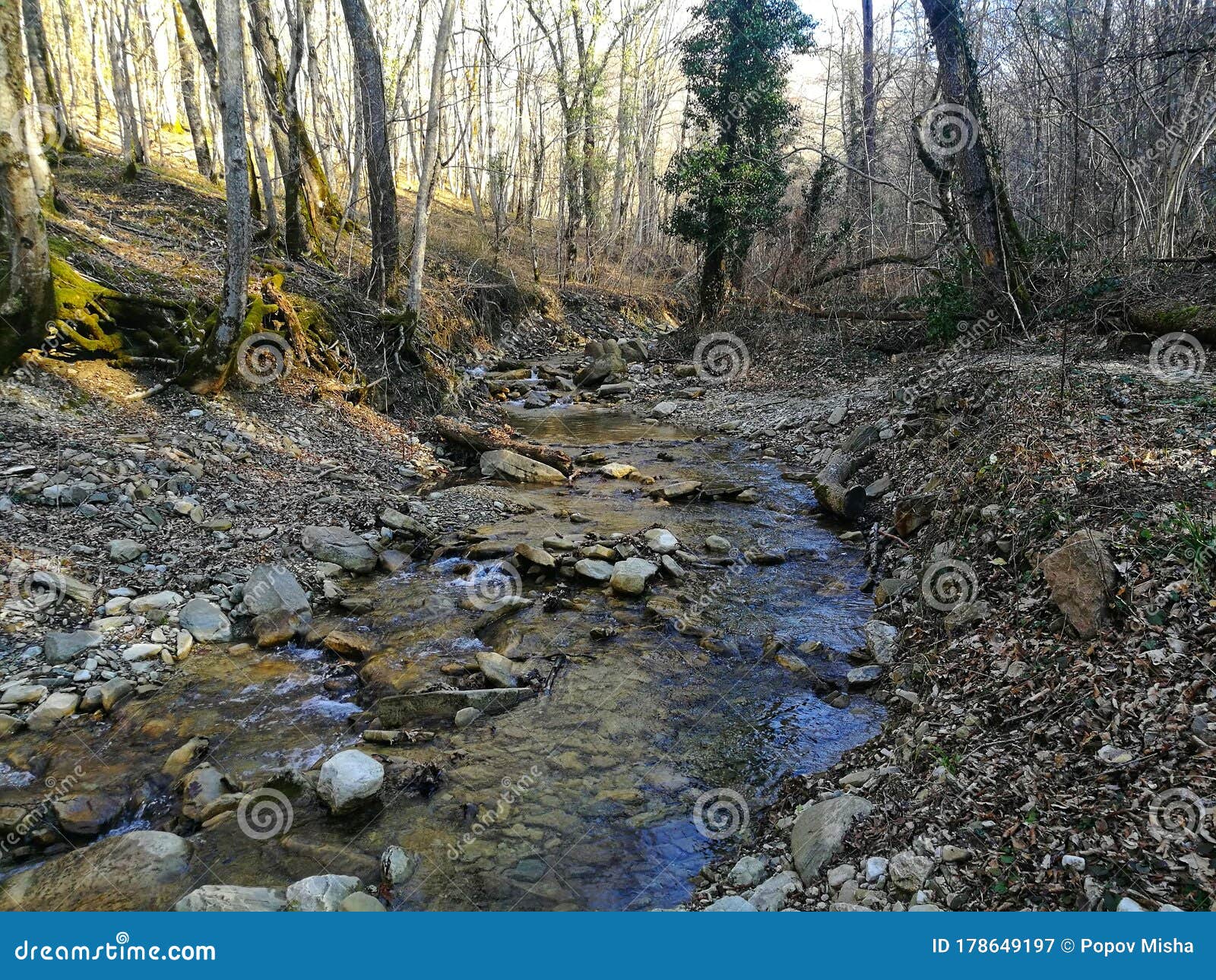 The spring mountain river stock image. Image of spring - 178649197