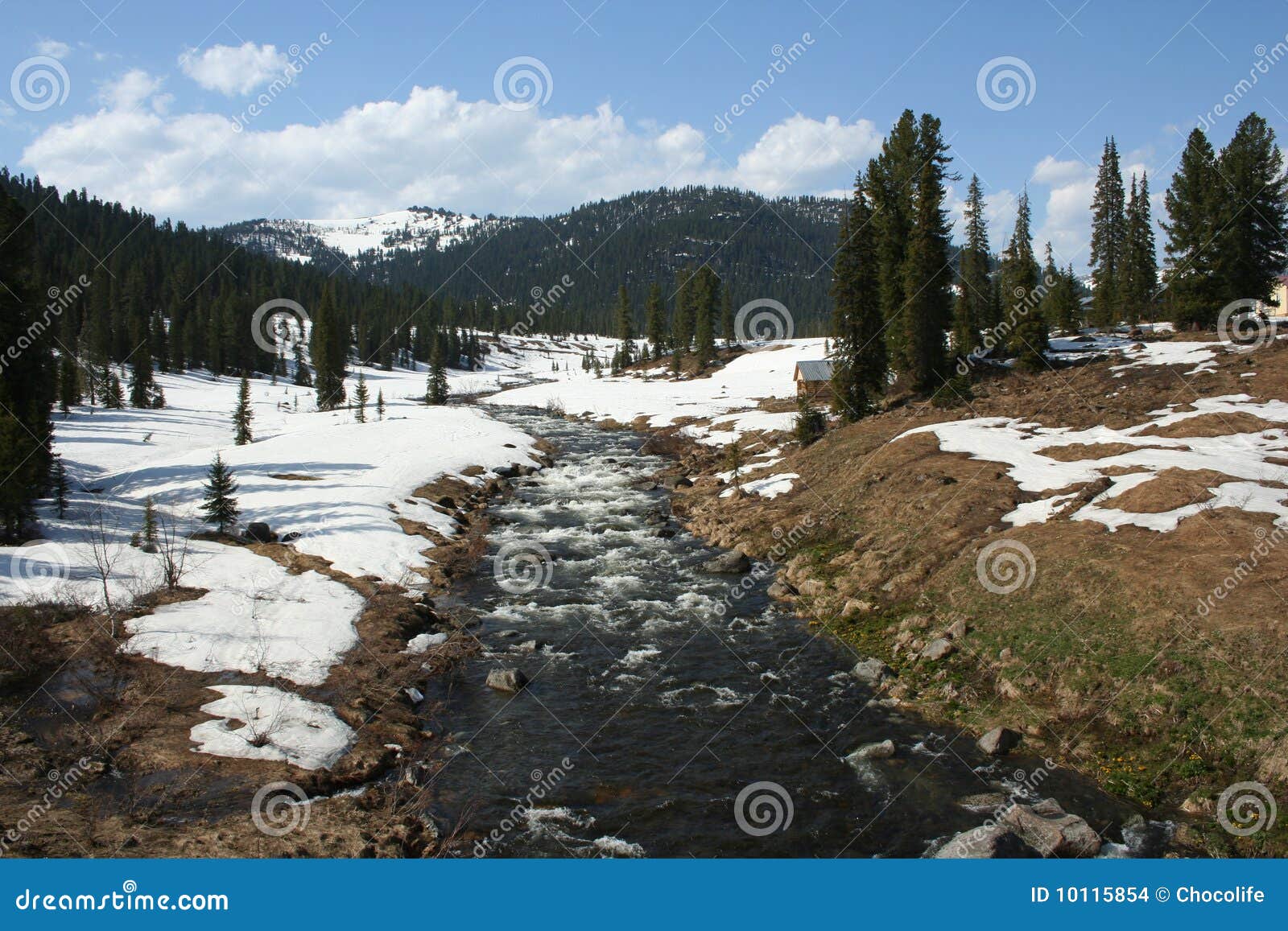 Spring in the Mountains stock photo. Image of mountain - 10115854