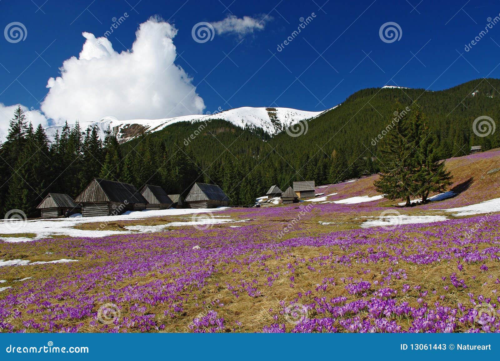 Spring in mountains stock image. Image of colorful, bright - 13061443