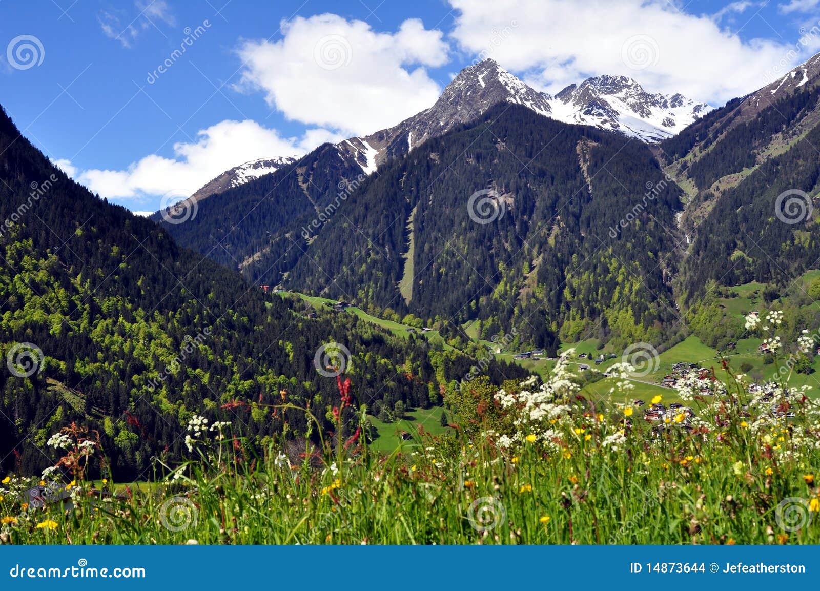 Spring_in_the_mountains stock photo. Image of meadow - 14873644