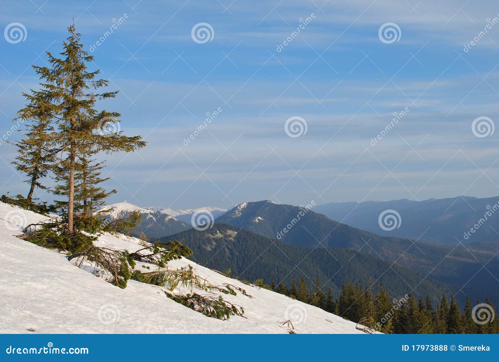 Spring in mountains stock photo. Image of tree, slope - 17973888