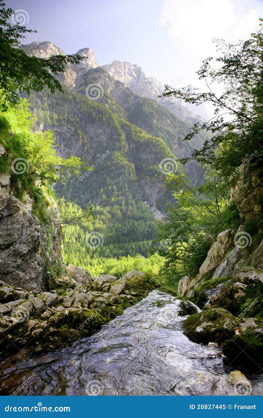 Spring mountains stock image. Image of farm, natural - 20827445
