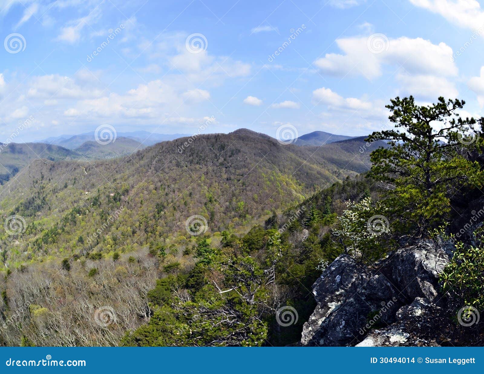 Spring in the Mountains stock photo. Image of valley - 30494014