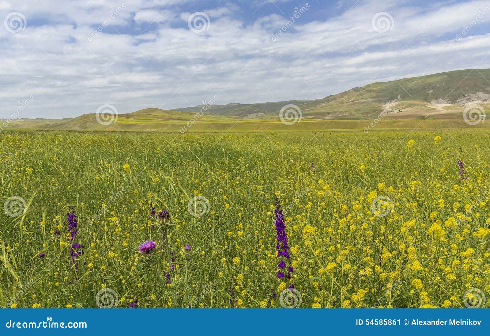 Spring in the Mountains Gobustan.Azerbaijan Stock Image - Image of ...