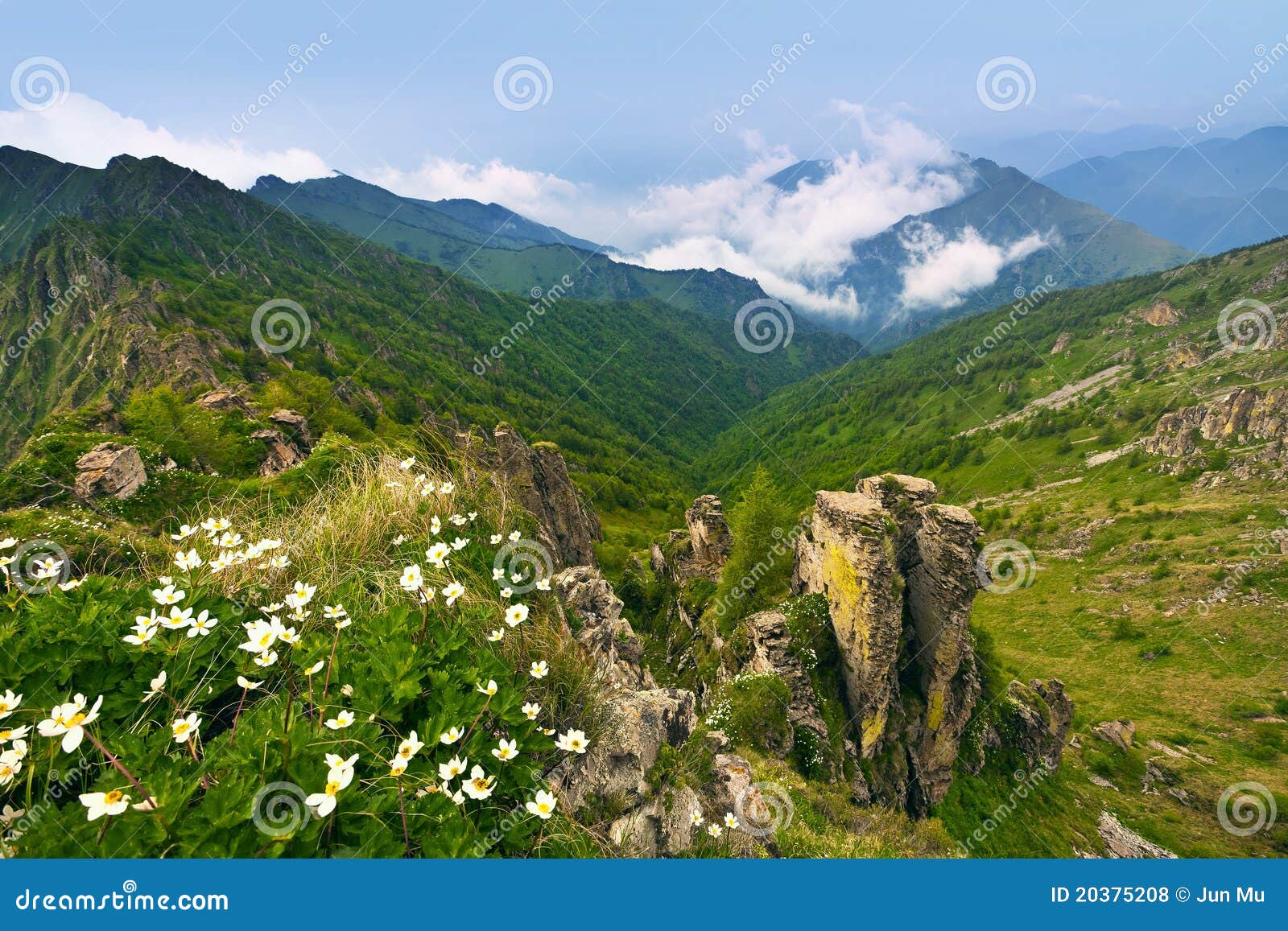 Spring mountains landscape stock photo. Image of plants - 20375208