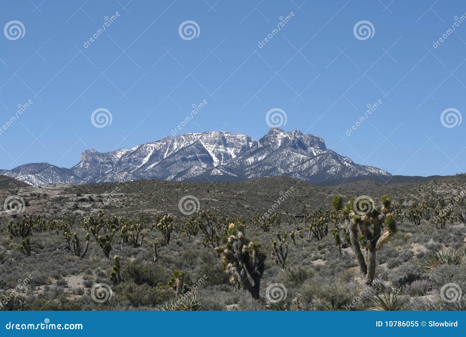 Spring Mountains, Nevada stock image. Image of serene - 10786055