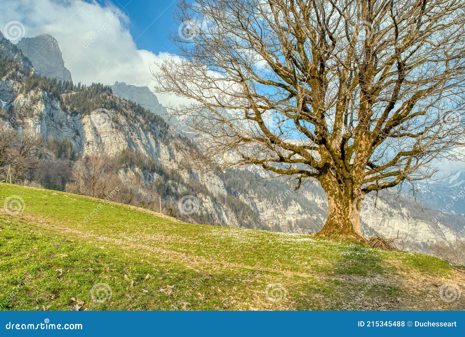 Spring in the Mountains. Spring Landscape with Green Meadows and Old ...