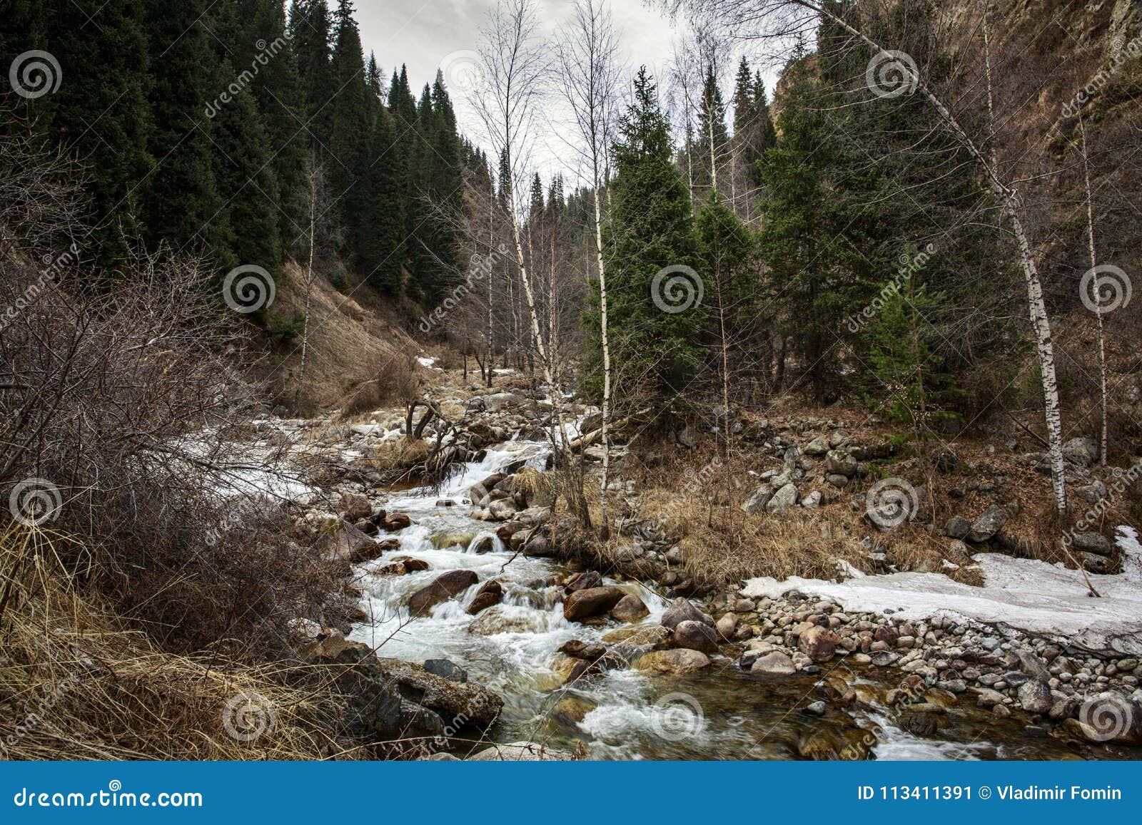 Spring in the mountains. stock image. Image of stream - 113411391