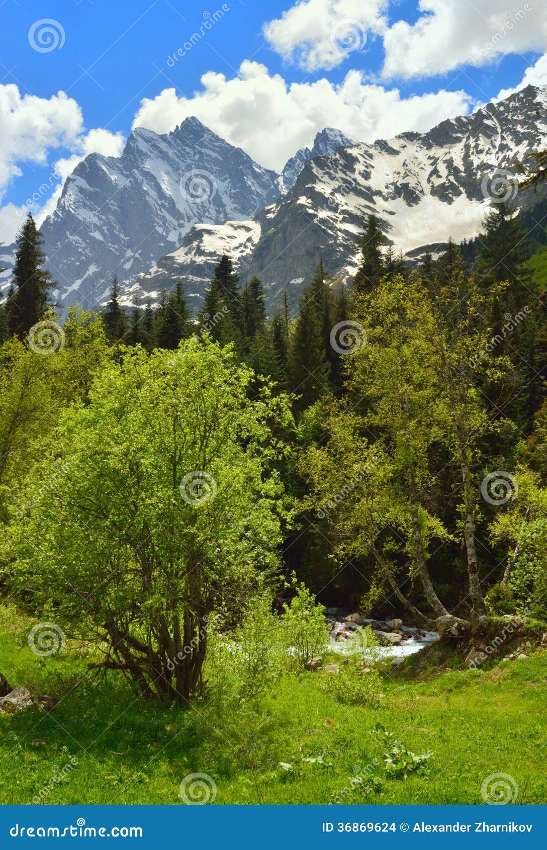 Spring in mountains stock photo. Image of leisure, mountains - 36869624