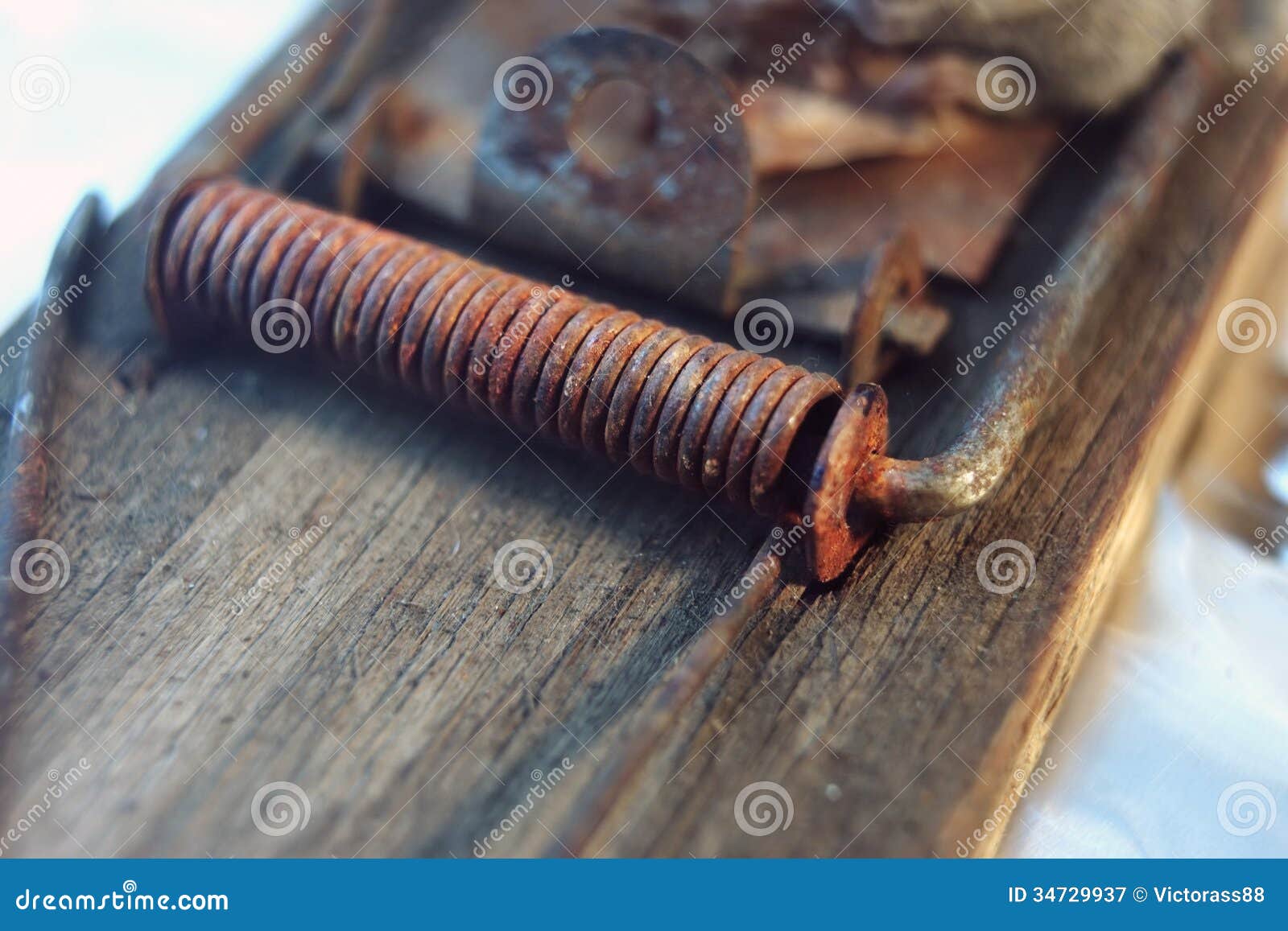 Spring on a Mouse Trap stock image. Image of macro, spring - 34729937