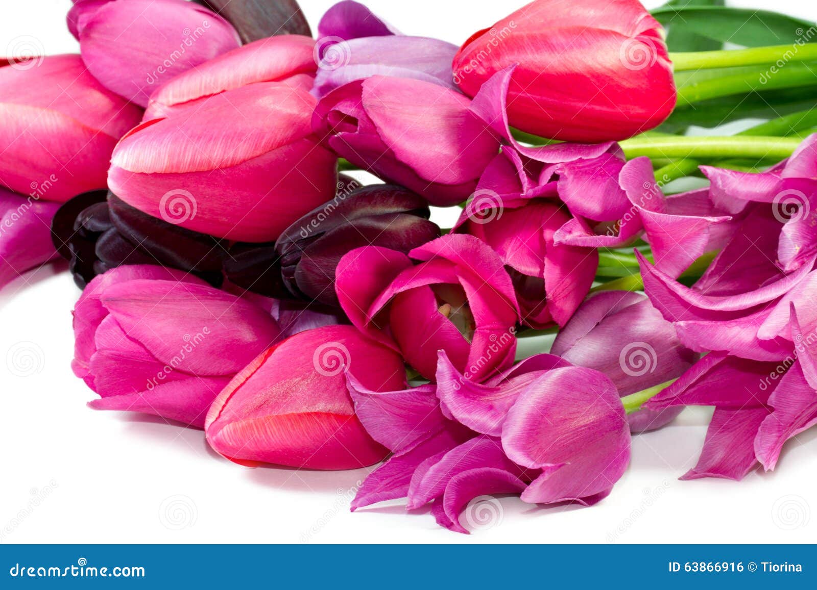 Spring Multicolor Tulips Bouquet Stock Photo - Image of flowers, beauty ...