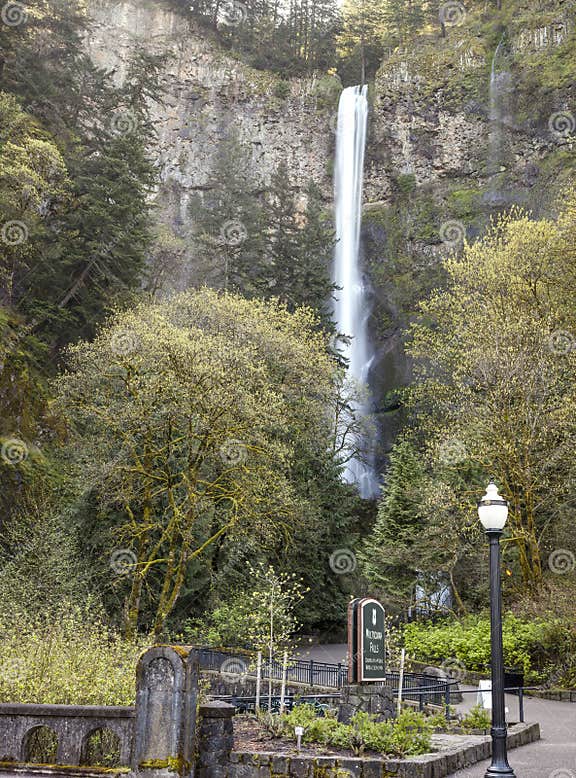Spring at Multnomah Falls Oregon. Stock Image - Image of foliage ...