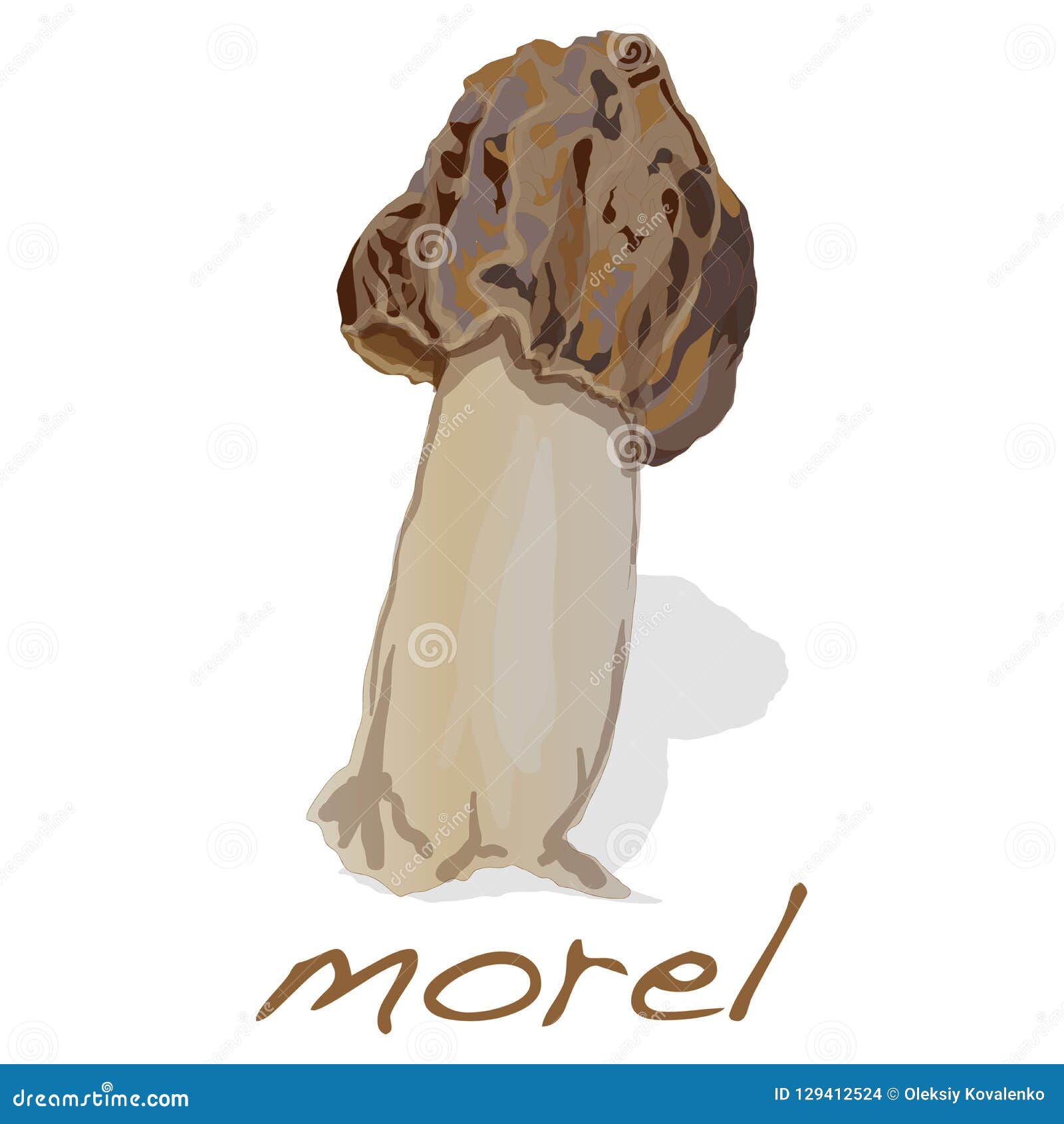 Morels Cartoons, Illustrations & Vector Stock Images - 203 Pictures to ...