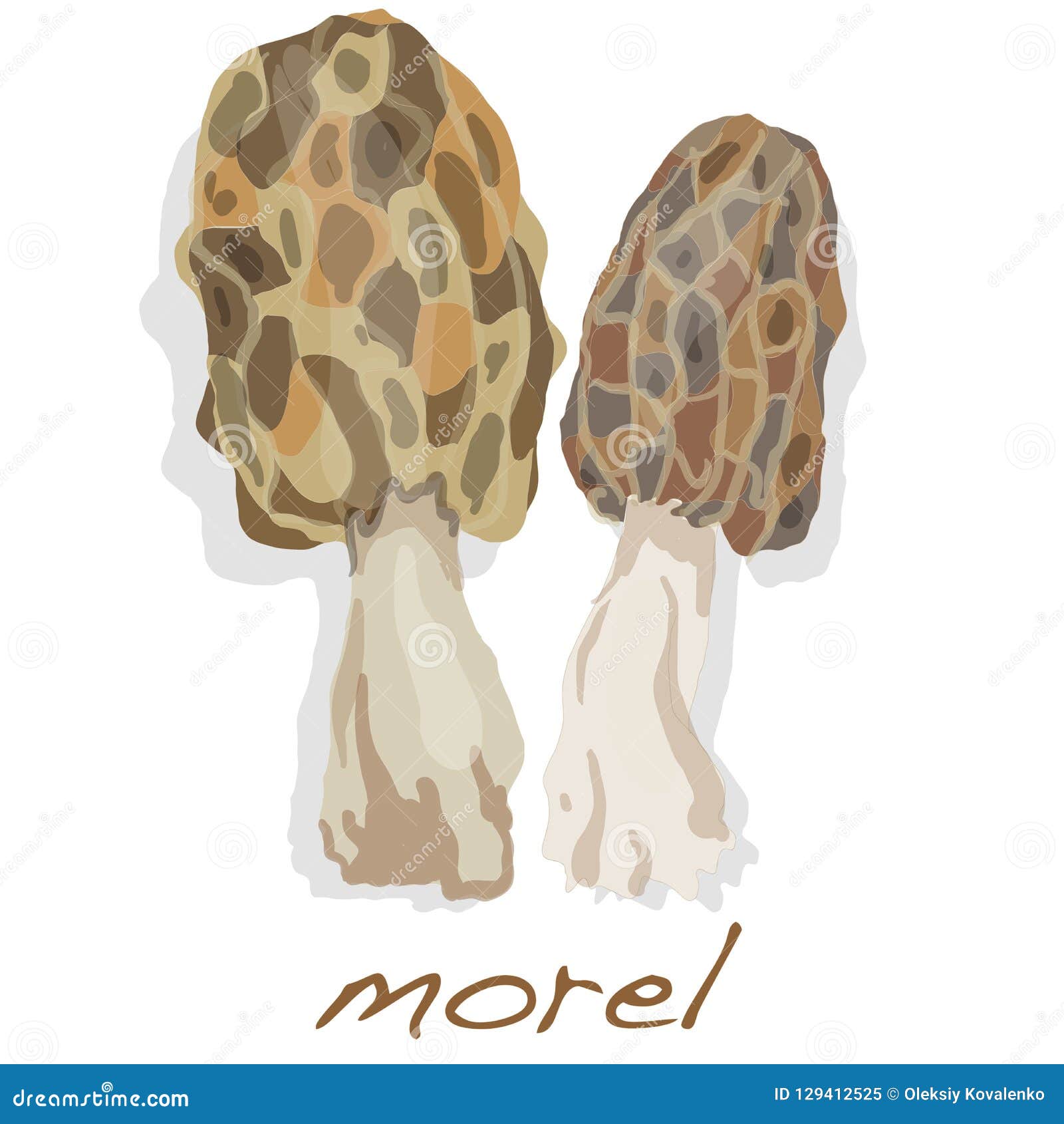 Morels Cartoons, Illustrations & Vector Stock Images - 182 Pictures to ...