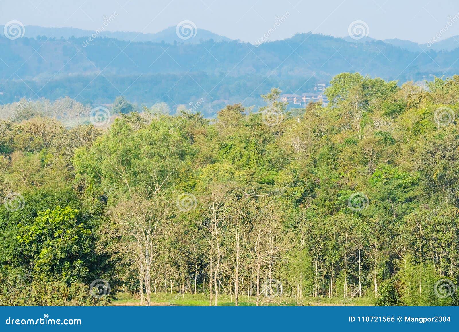 Spring Nature Background, Foliage Forest Countryside Landscape, Stock ...