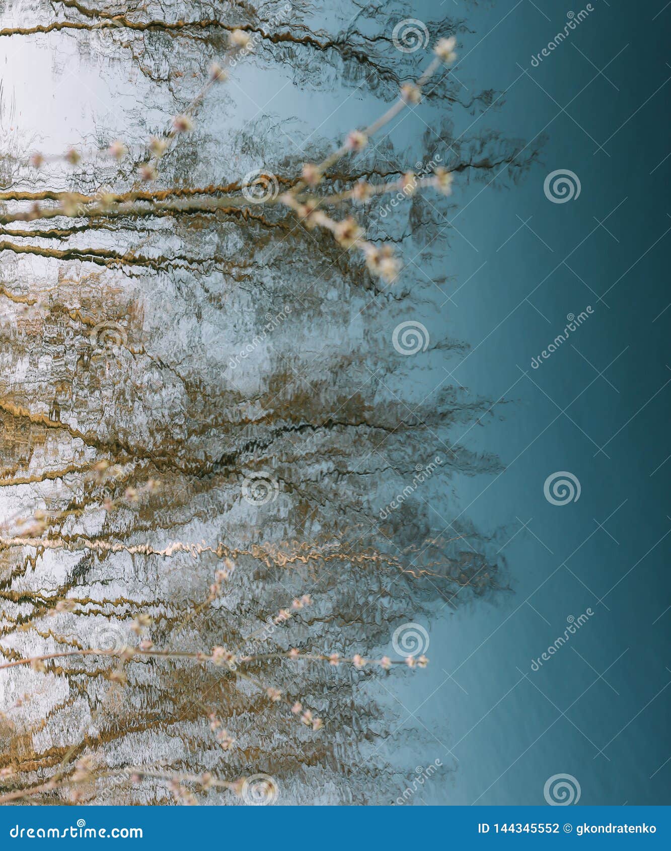 Spring Nature Background. Reflection in Water. Spring Wallpaper ...