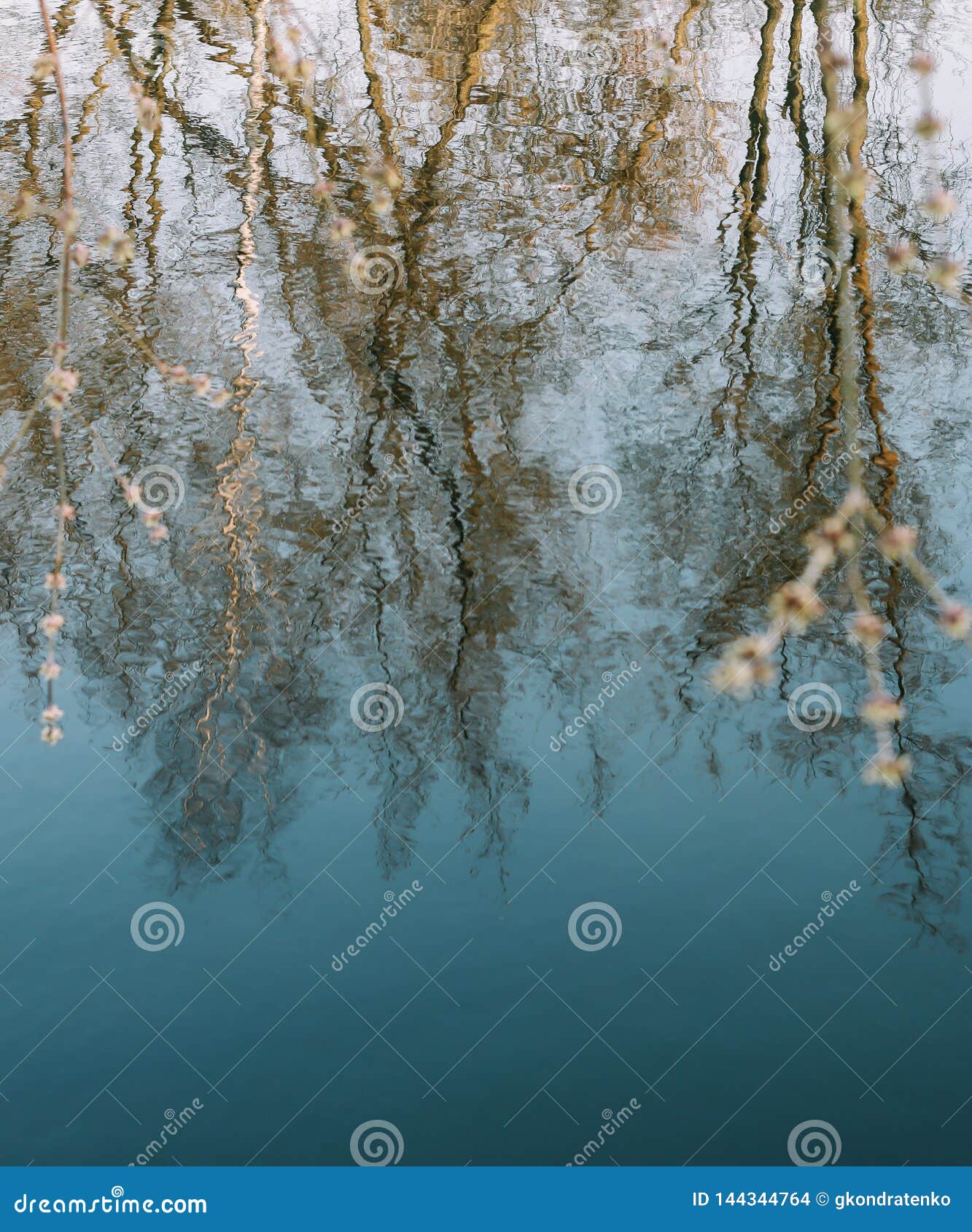 Spring Nature Background. Reflection in Water. Spring Wallpaper ...