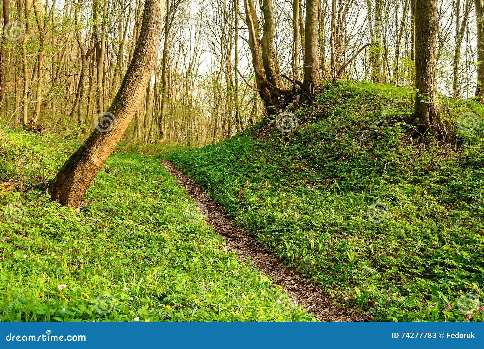 Spring, Nature, Beautiful Landscape and Green Grass and Trees Stock ...