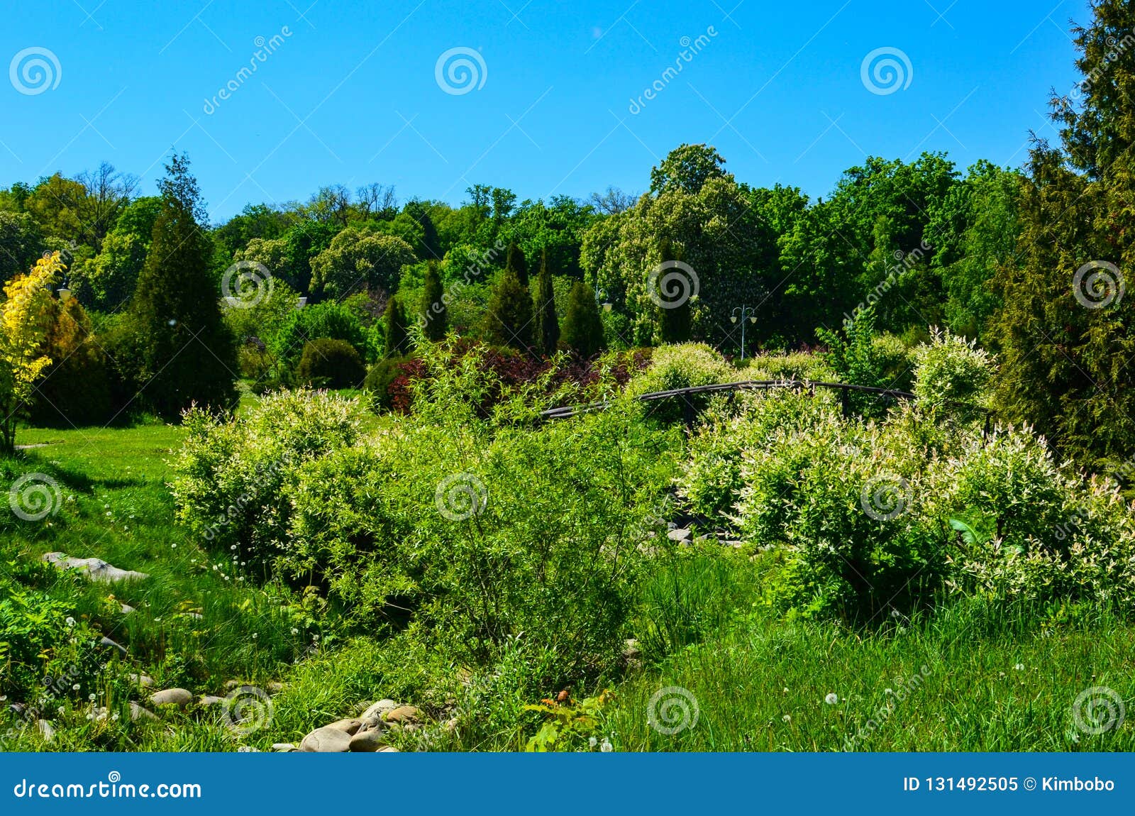 Spring Nature. Beautiful Landscape Stock Image - Image of mist, natural ...